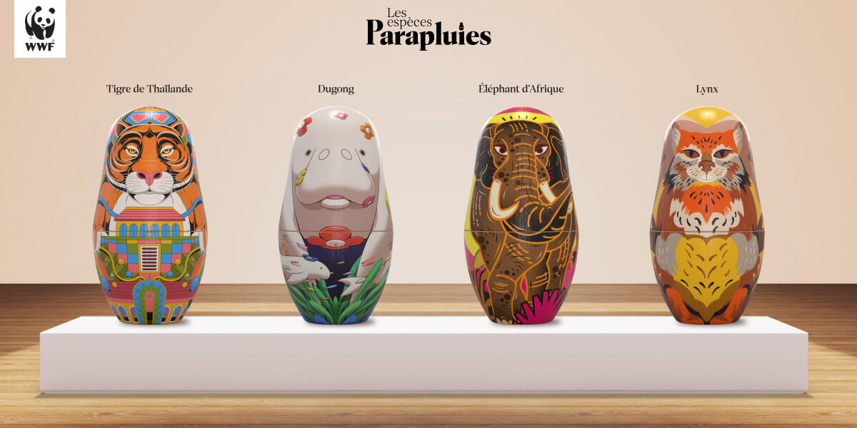 Les espèces Parapluies - WWF